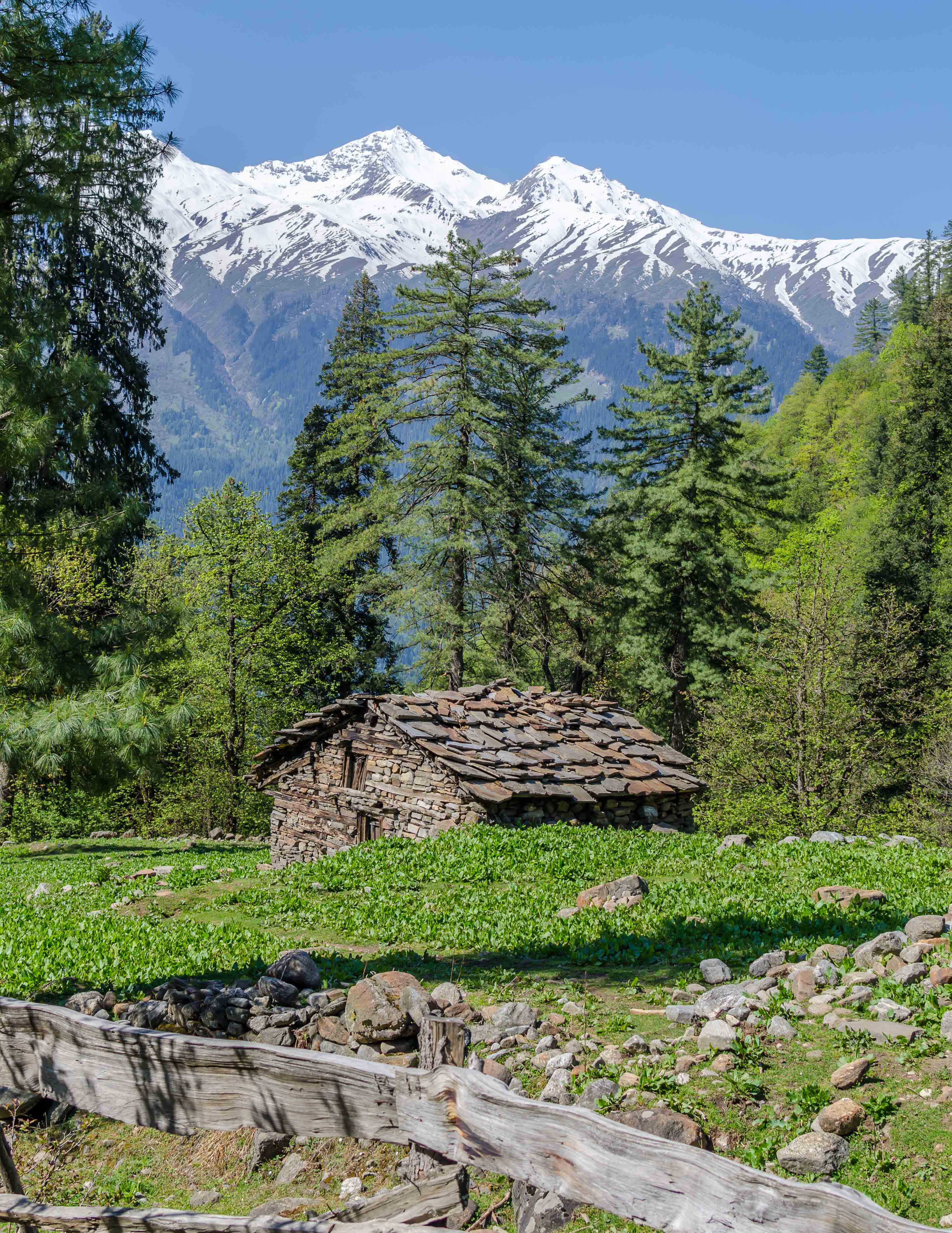 Trek from Tosh to Kutla: Offbeat Gem in Parvati Valley