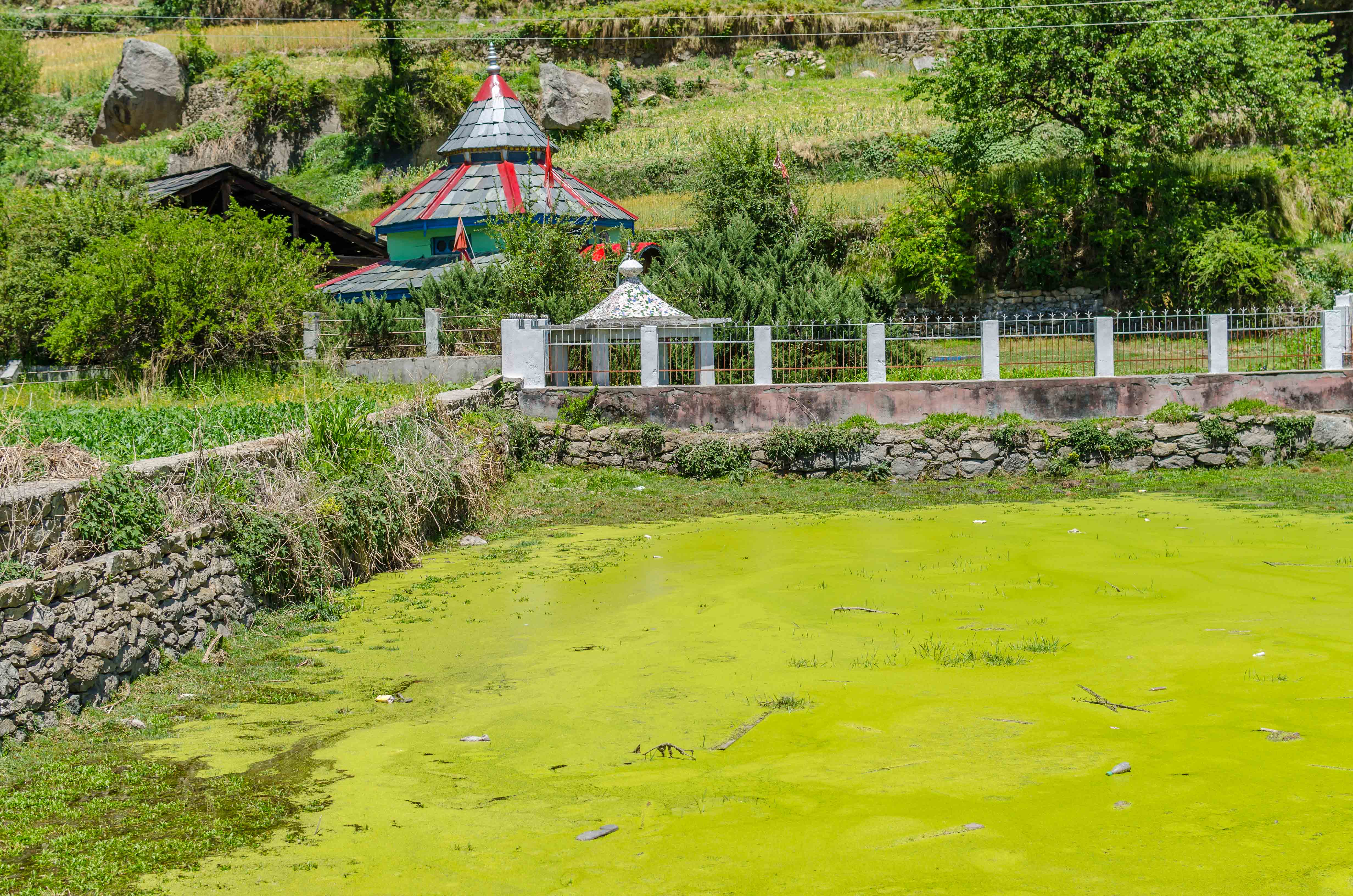 Sharchi Village – The Bum Who Travels